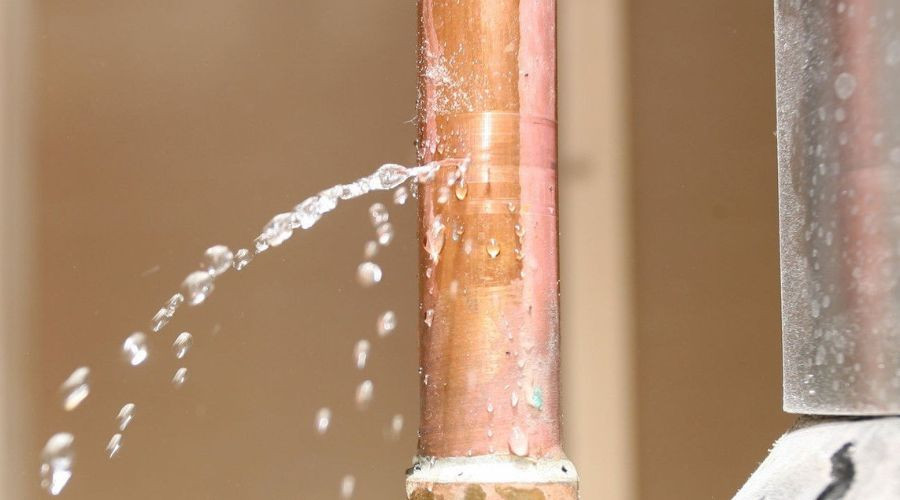 Common Signs of a Water Leak - City Plumbing